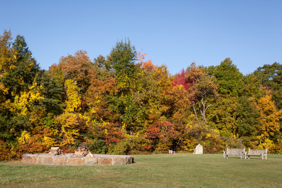 Our Property - Alnoba