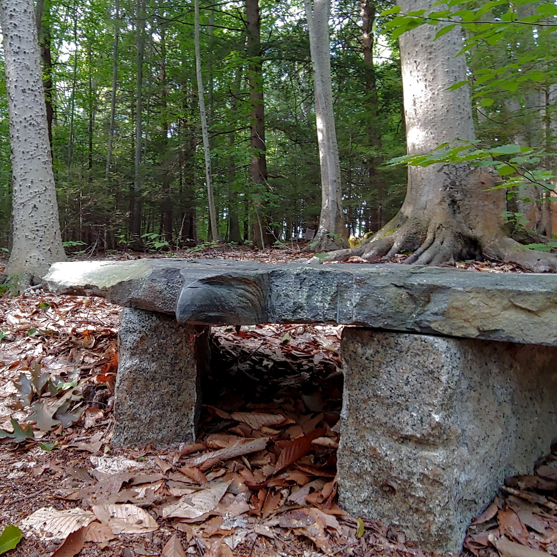 Art Collection - Alnoba